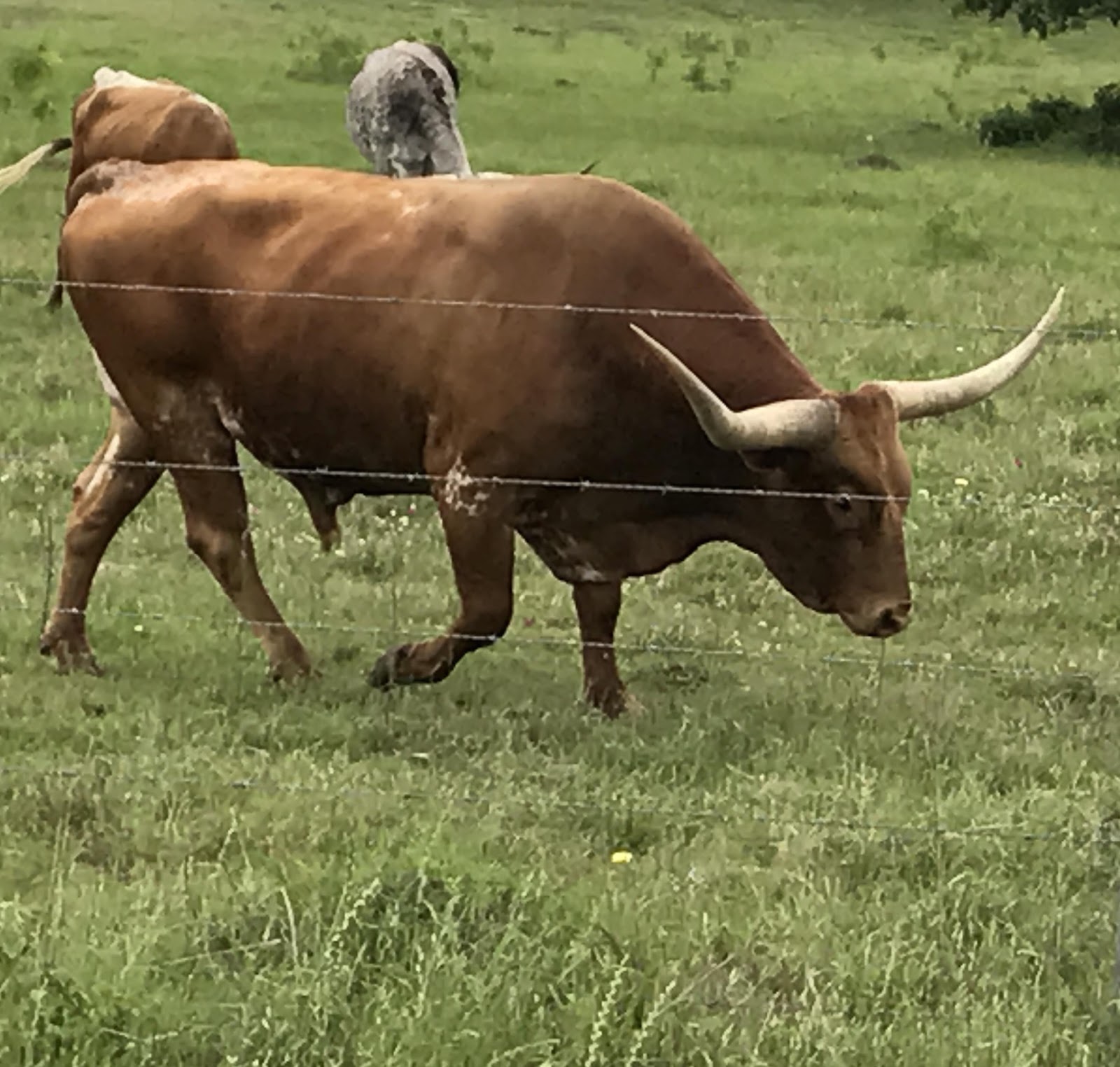 New Beginnings.. – Alice V. Brock